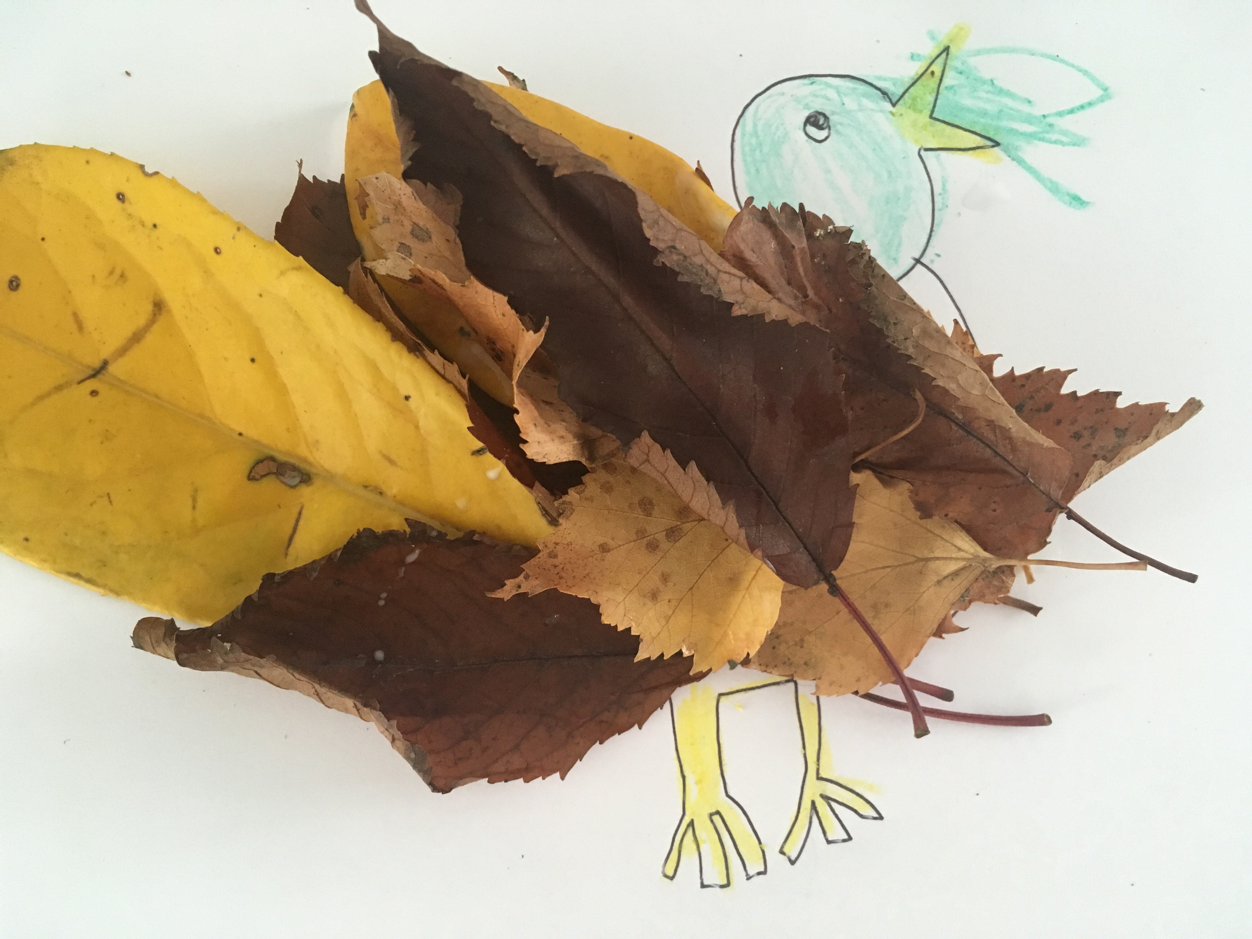 The Benefits to Children of Autumn Crafts – The SEN Resources Blog