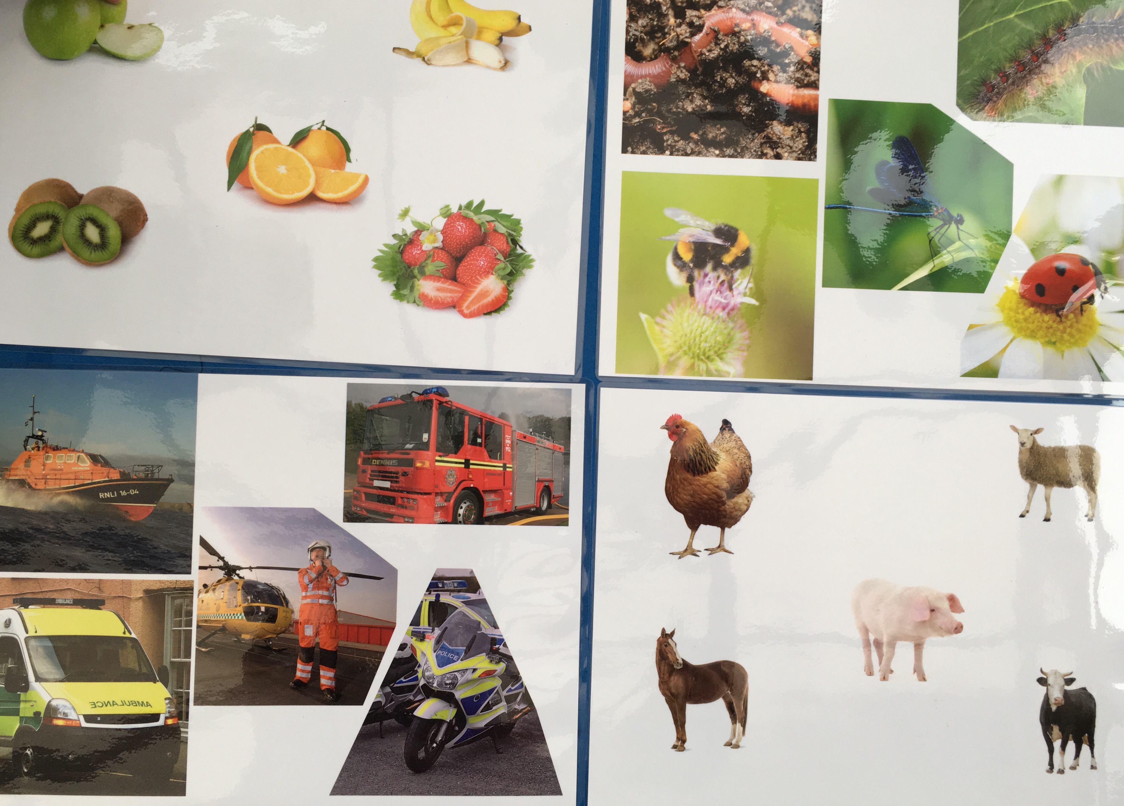 Review: JJ391 Shapes Memory Board Puzzle by Just Jigsaws – The SEN ...