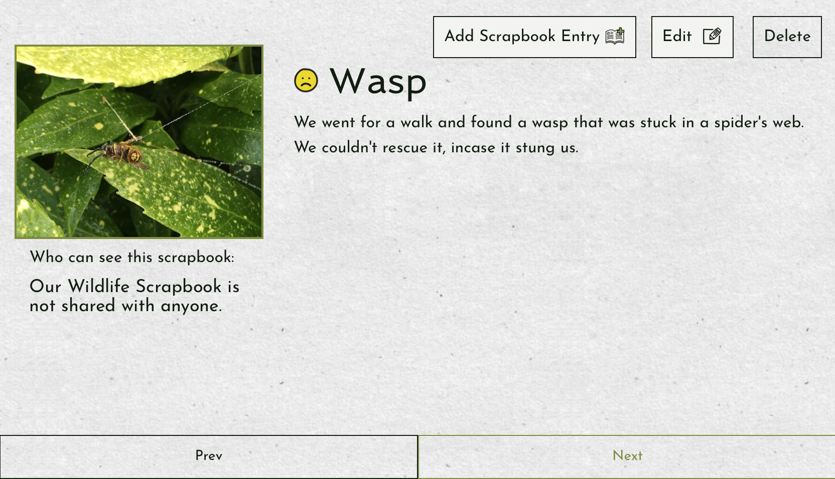 Making a Wildlife Scrapbook – The SEN Resources Blog