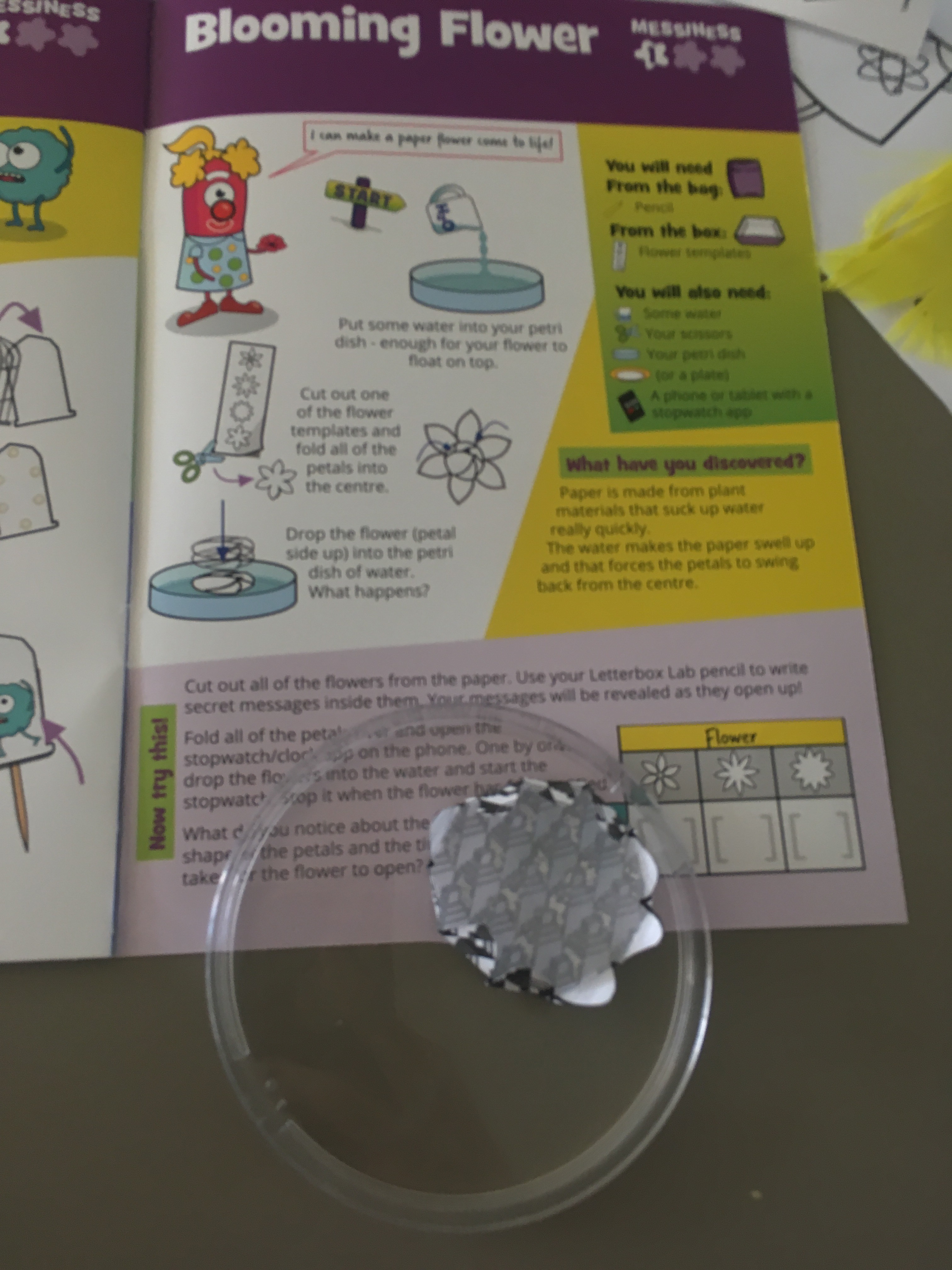 Review: Letterbox Lab – The SEN Resources Blog