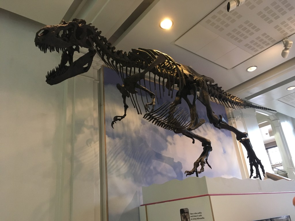 Review: Manchester Museum – The SEN Resources Blog