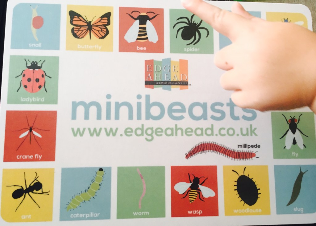 What can Children Learn from a Minibeast Hunt? – The SEN Resources Blog