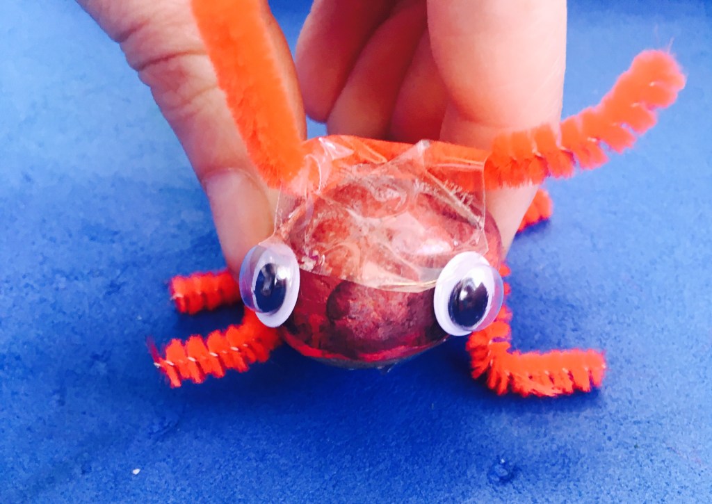 Make your own Minibeasts Craft for Kids – The SEN Resources Blog