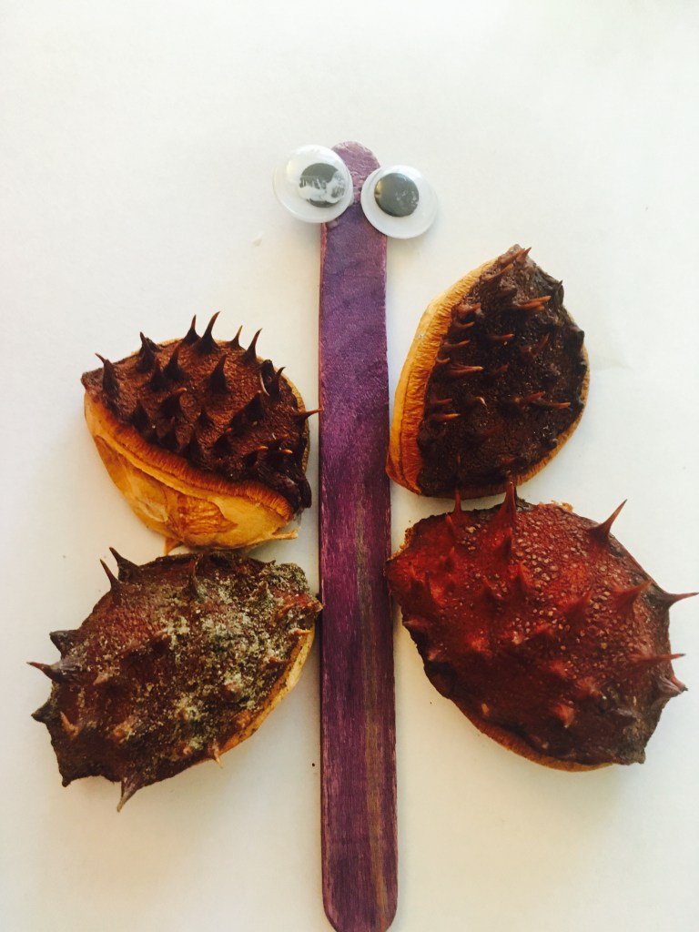 What Can You Do or Make With Conkers? (Craft Activities in Pictures ...