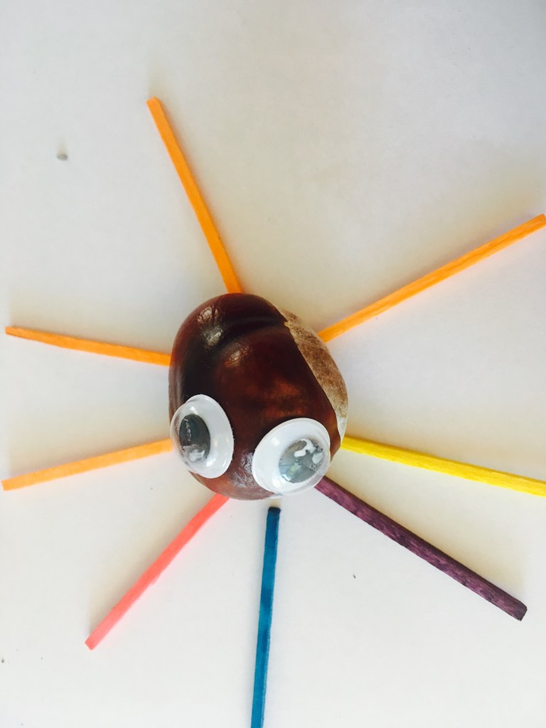 What Can You Do or Make With Conkers? (Craft Activities in Pictures ...