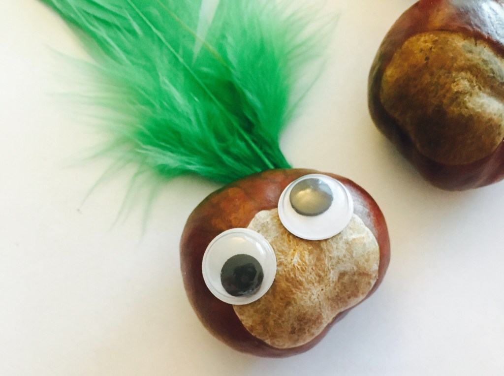 What Can You Do or Make With Conkers? (Craft Activities in Pictures ...