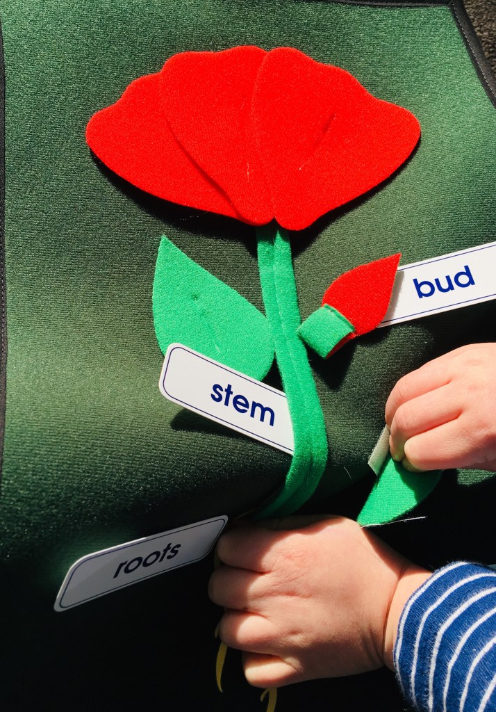 Our Favourite Resources and Children’s Books to Support Hands-on ...