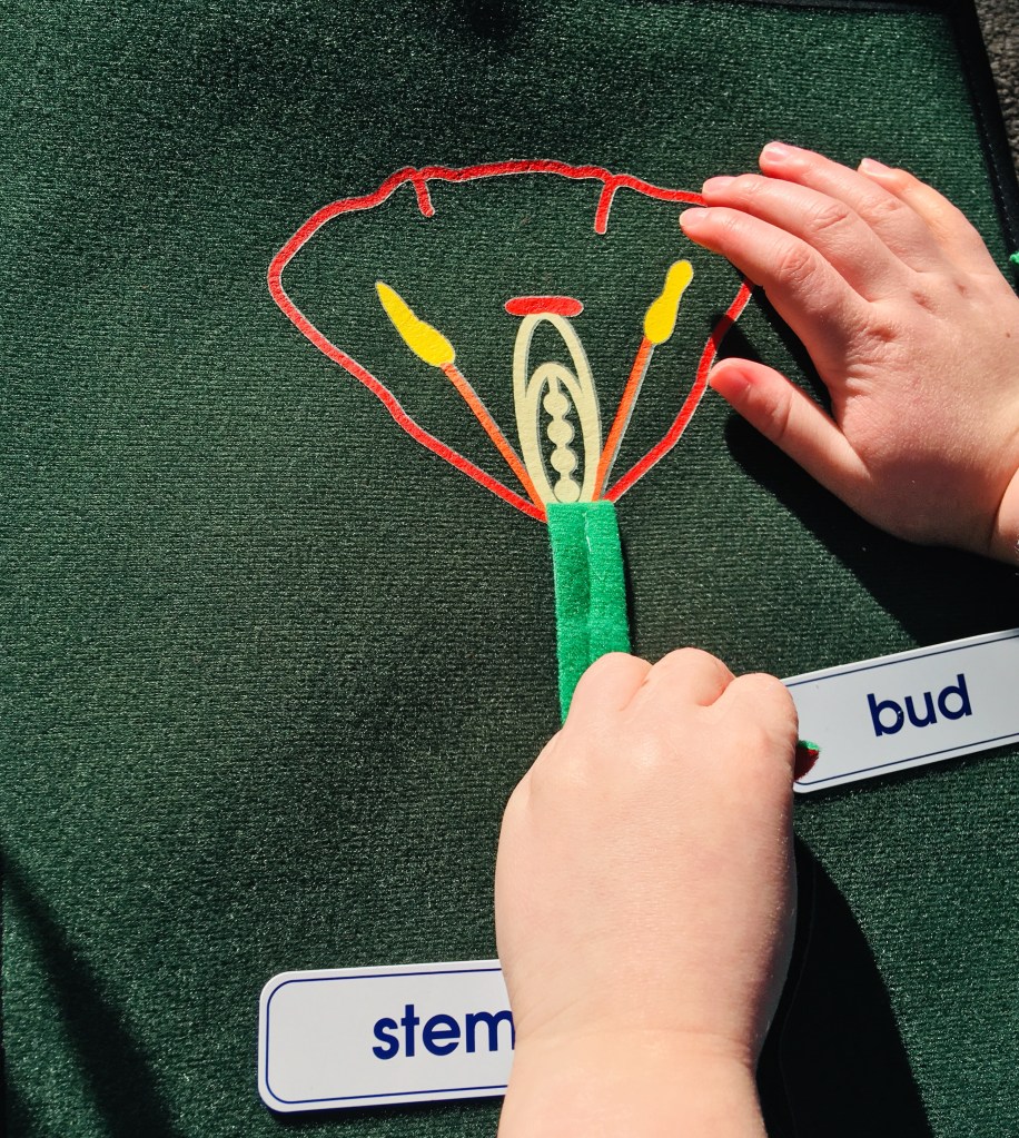 Our Favourite Resources and Children’s Books to Support Hands-on ...