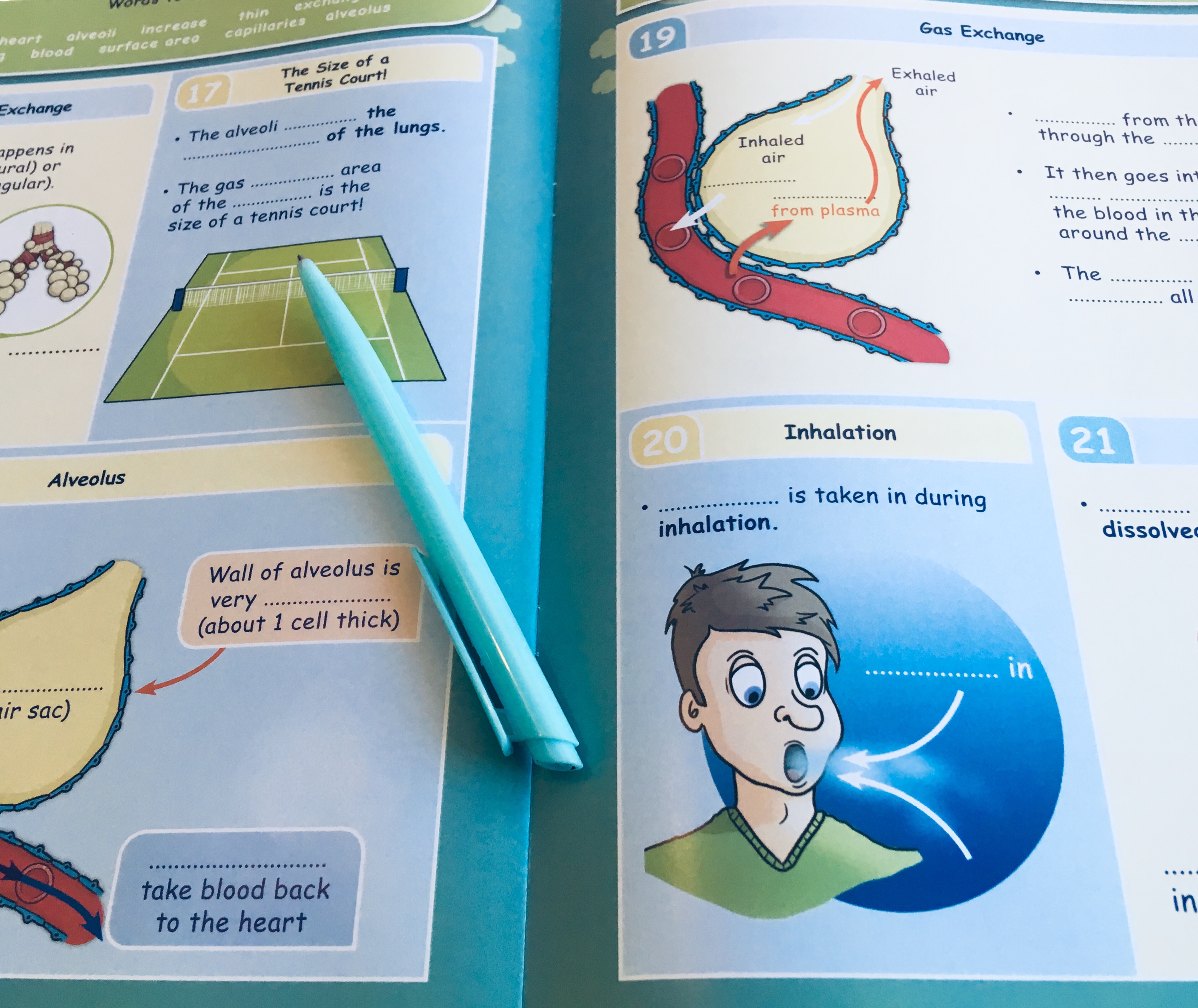 Review: Oaka Books – The SEN Resources Blog
